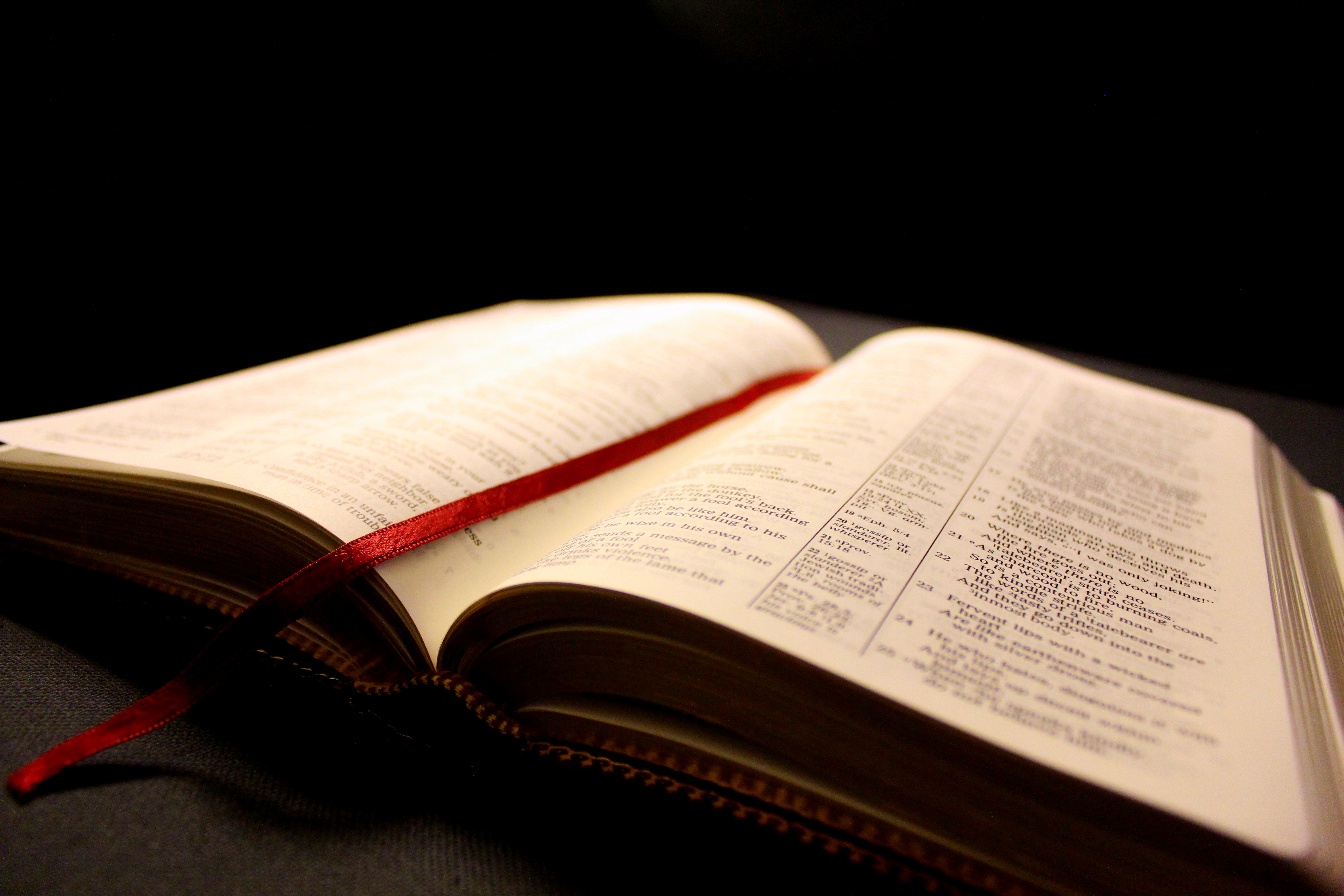 16 Scriptural Reasons NOT To Take The Bible Literally 16 Scriptural Reasons NOT To Take The Bible Literally